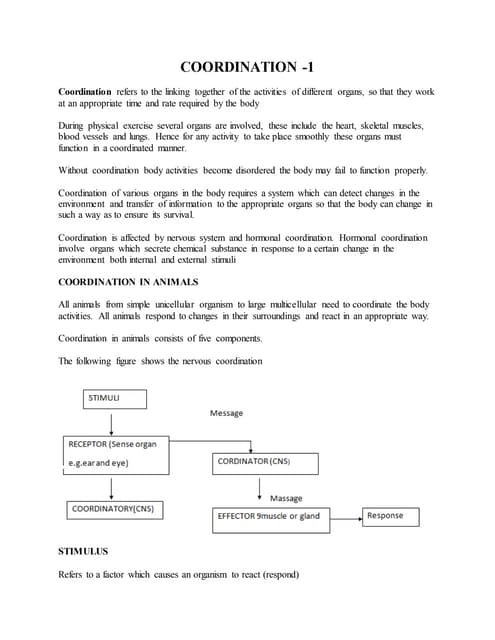 Writing formal letters | DOCX | Resume Writing and Advice | Job Search