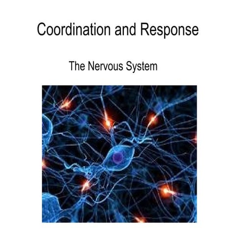 Coordination and response | PPTX