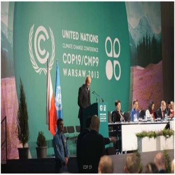 COP 19 Presentation | PPTX
