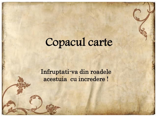 Schema - verb (moduri și timpuri verbale) | DOCX