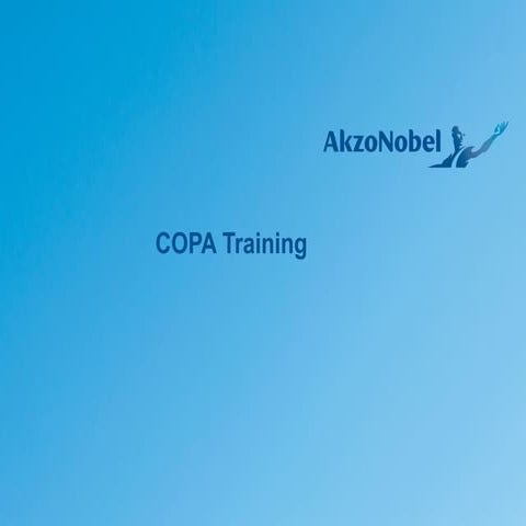 CO Profitability Analysis an Introduction | PPTX