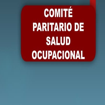 COMITE PARITARIO Y SUS FUNSIONES DE CADA UNO DE ELLOS | PPTX