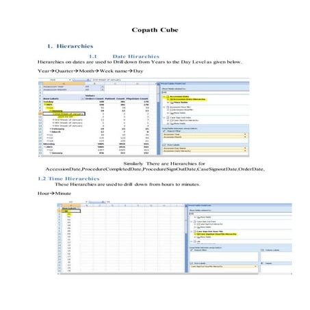 SSAS Cube Document(Health Care Sector) | DOCX