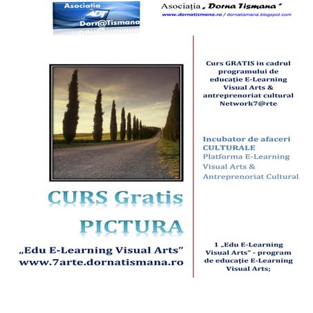 CURS Gratis PICTURA „Edu E-Learning Visual Arts” | PDF