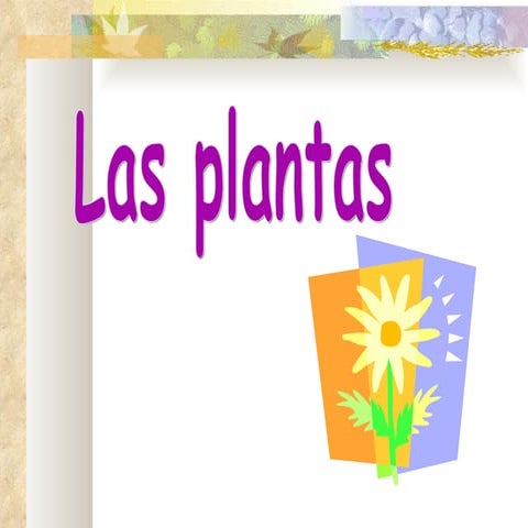 Las plantas | PPT
