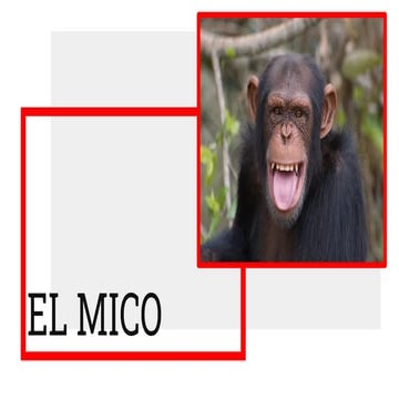 Mico | PDF