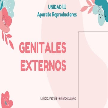 Las estructuras genitales externas son el monte de Venus, los labios ...