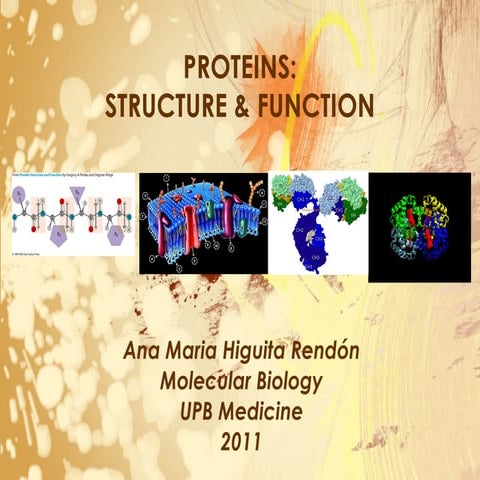 PROTEINS, STRUCTURE AND FUNCTION | PPT