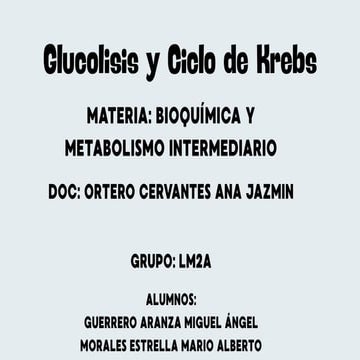 rutas metabolicas, ciclo de krebs y glucolisis | PPTX