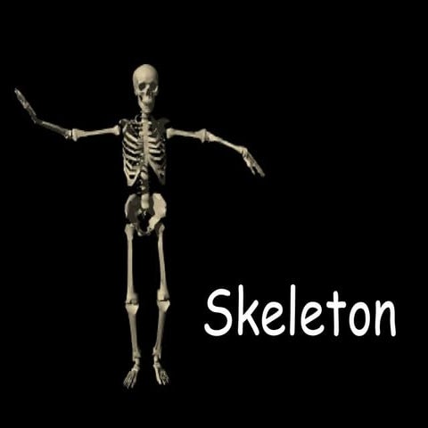Skeleton and bones | PPT