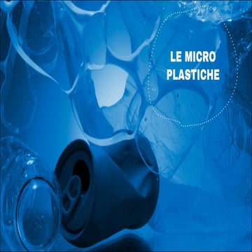 Copia di Microplastiche.pdf