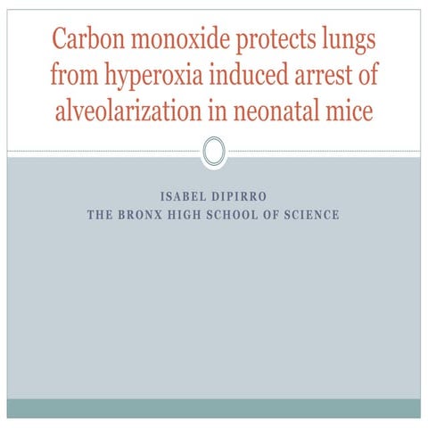 Steve Resume 2015 | DOCX