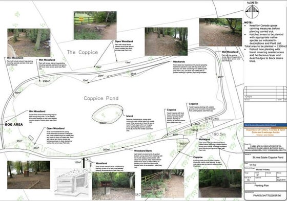 Swale Detail | PDF
