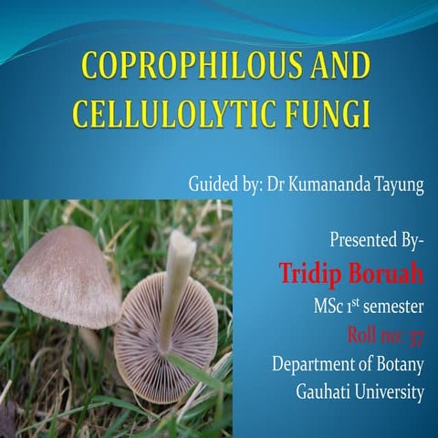 Coprophilous and cellulolytic fungi | PPTX