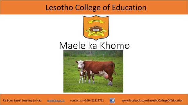 Maele a Sesotho | PPTX