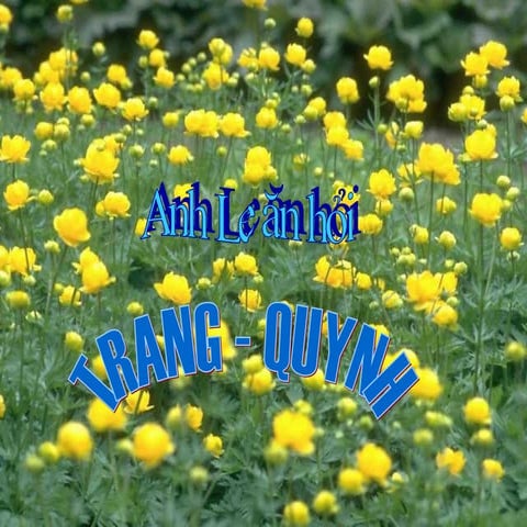 Anh cuoi | PPT