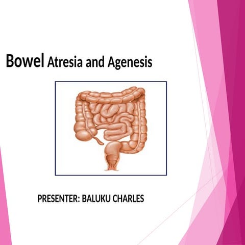 Comprehensive Overview of Bowel Atresia and Agenesis: Embryology ...