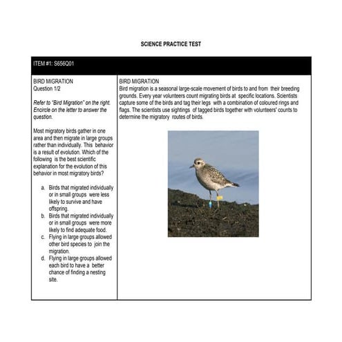 Experimental Design Quiz Presentation BLUE | PDF