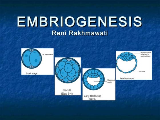 Bab 7. Osteichthyes | PPT