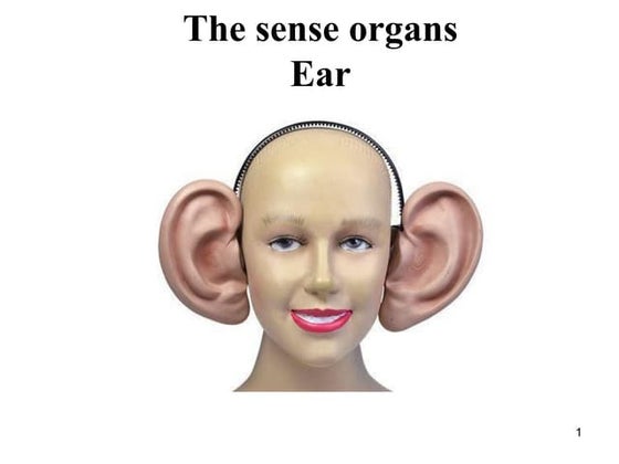 ear anatomy, structures, functions | PPT
