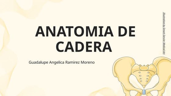 Abducción y aduccion de cadera.ppt completo | PPT