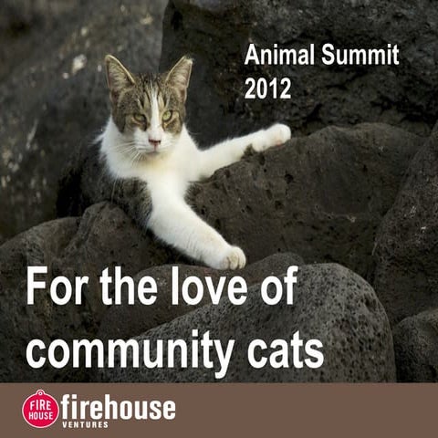 For the Love of Community Cats | PPT