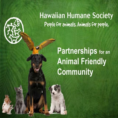 For the Love of Community Cats | PPT