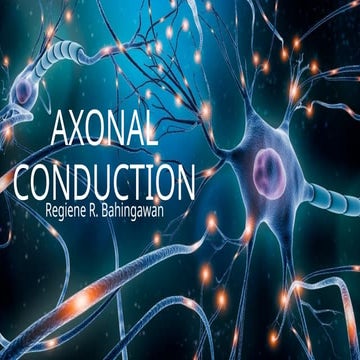 AXONAL CONDUCTION.pptx Axonal conduction is the process by which ...