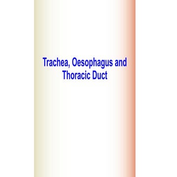 Copy of BDC Volume 1 Chapter 20 Trachea, Oesophagus and Thoracic Duct.pptx