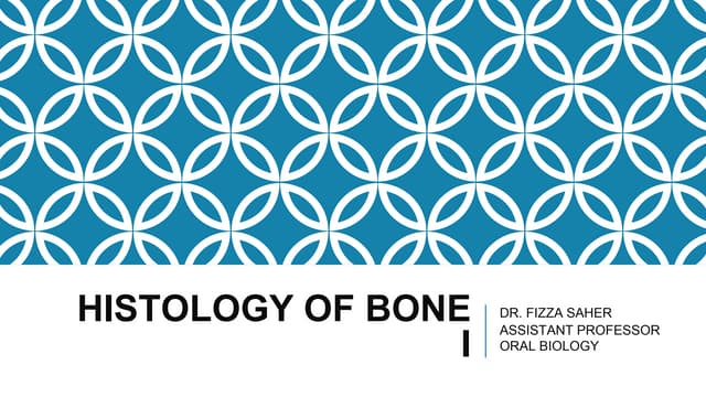 Histology Of Bone Pptx