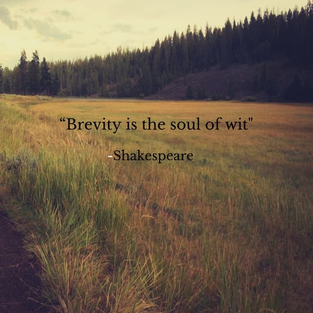 brevity is the soul of wit | PDF