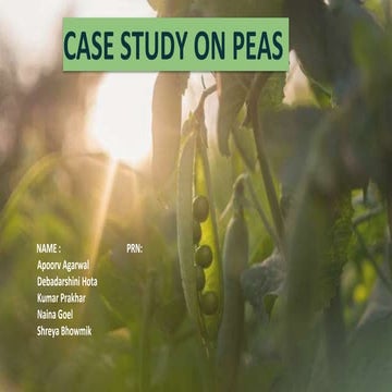 Copy of Case Study-28 PEASppt.pptx