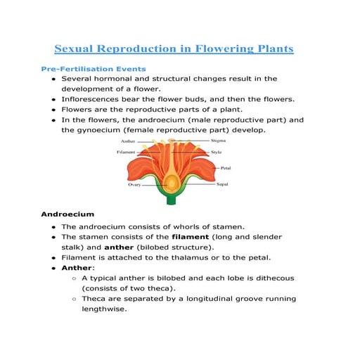Sexual Reproduction In Flowering Plants | PPTX
