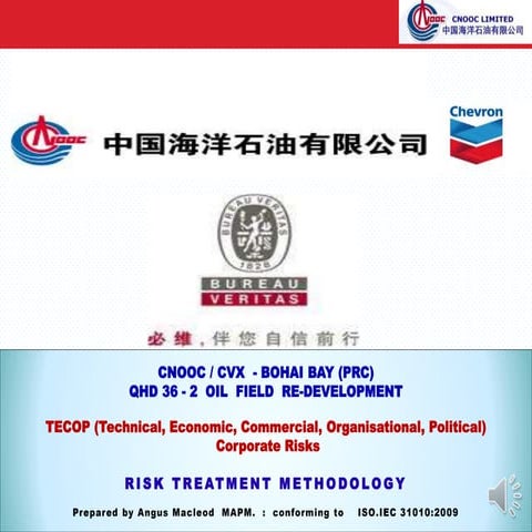 SHELL opportunity-realisation-manual.docx