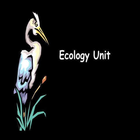12.How-Nature-Works-in-Harmony.ppt/8th class science curiosity/by k ...