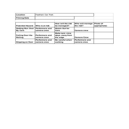 RISK ASSESSMENT | DOCX