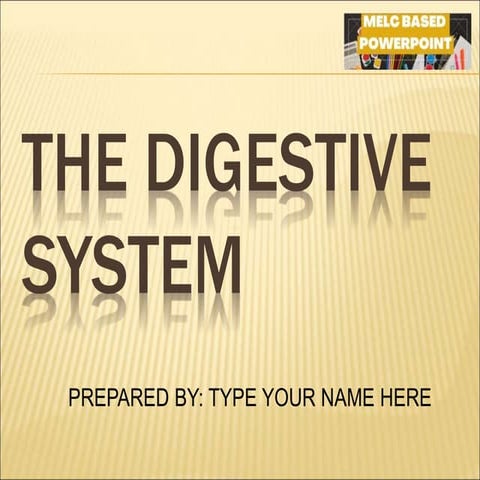 Copy of Digestive System.ppt DIGESTIVE SYSTEM AND ITS FUNCTIONS | PPT ...