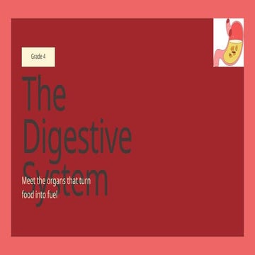 Copy of Digestive System Slides for Grade 4.pptx