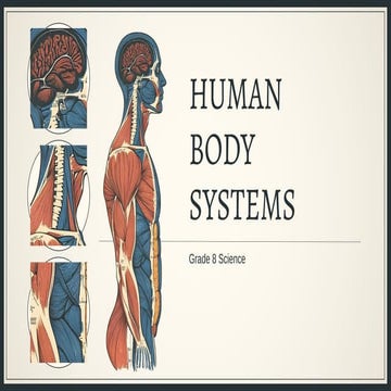 Copy of Exploring the Human Body System by Slidesgo.pptx.pdf