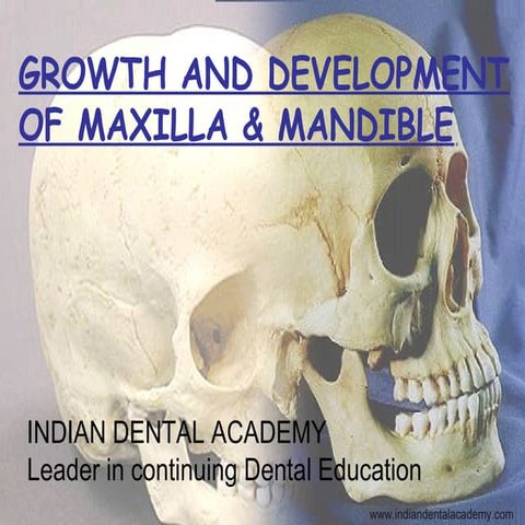 Copy of growth and development of the mandible1/certified fixed ...