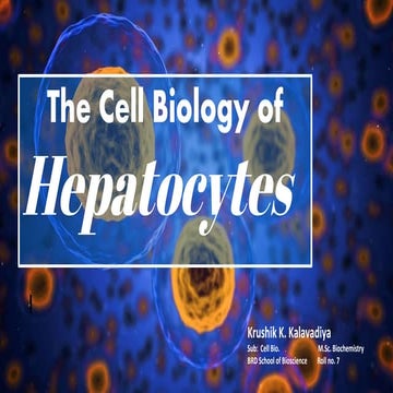 Hepatocytes | PPT