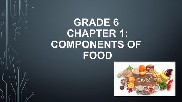 The Six Essential Nutrients: Lesson Plan And Worksheet | PDF ...