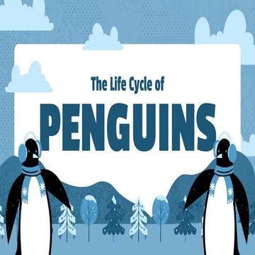 Copy of Life Cycle of Penguin Lesson Slides.pdf