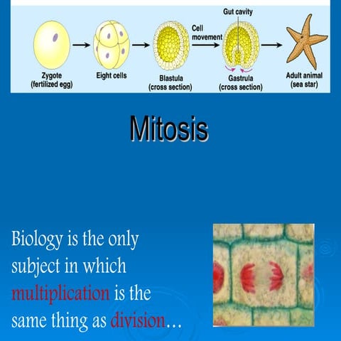 AS Level Biology - 5/6) Mitotic Cell Cycle and Protein Synthesis | PPTX