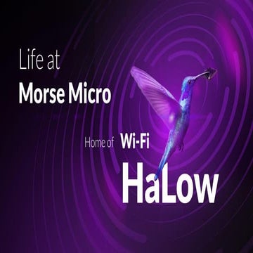 Life at Morse Micro - Home of W-Fi HaLow | PDF