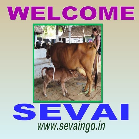 Power point Presentation on SEVAI - COW PROJECT, . | PPT
