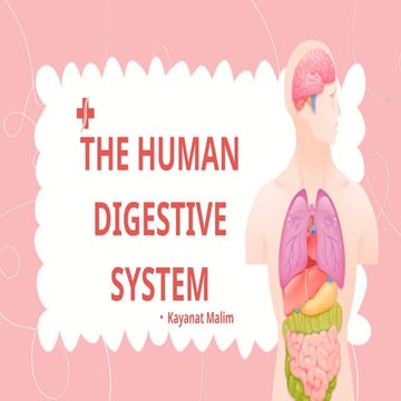 The Human Digestive system IGCSE 2024-25 Presentation .pptx