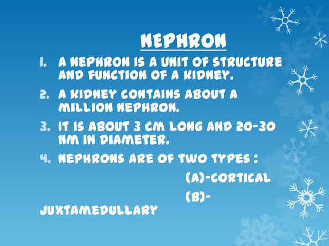 Structure of nephron and functions of its parts | PPTX | Endocrine and ...