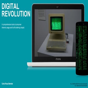 Digital Revolution A comprehensive look at consumer internet usage and ...