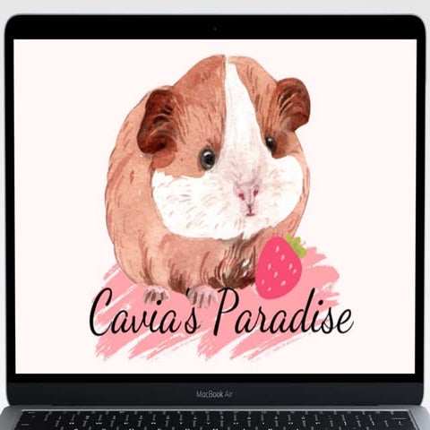 Shopify Store | PPTX